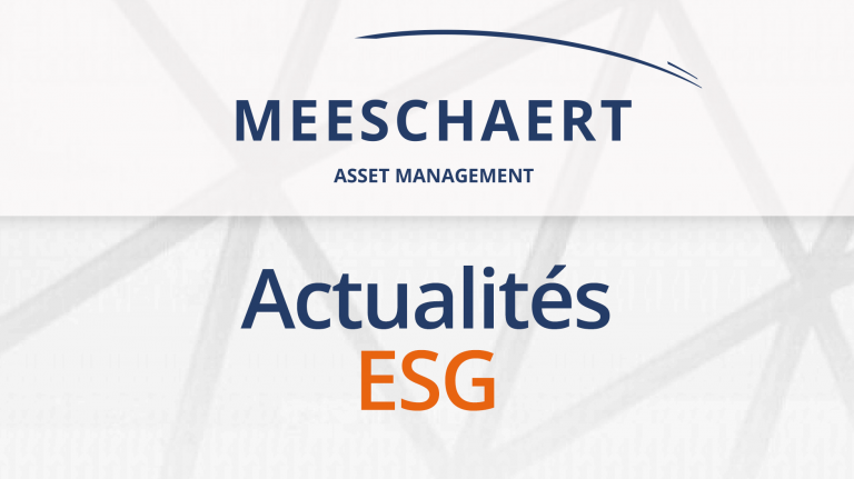 Meeschaert - Investisseur et responsable