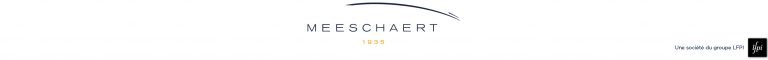 Meeschaert - Investisseur et responsable