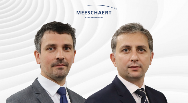 Meeschaert - Investisseur et responsable