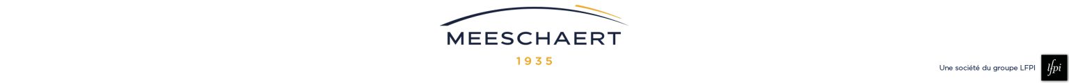 Meeschaert - Investisseur et responsable